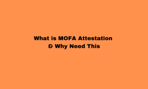 What is MOFA Attestation & Why Need This